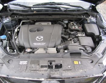 MyAuto - Auction - პირველი ავტო აუქციონი საქართველოში.